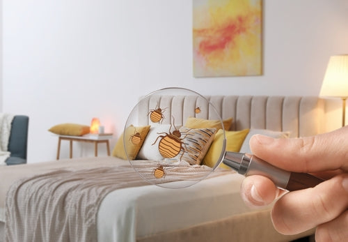 PF Harris – Do It Yourself Pest Control Products | Fast Free Shipping